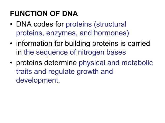 DNA and Protein Synthesis | PPT