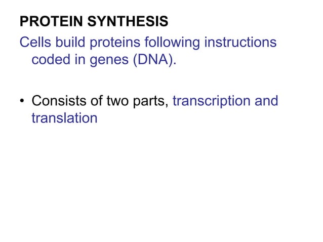 DNA and Protein Synthesis | PPT