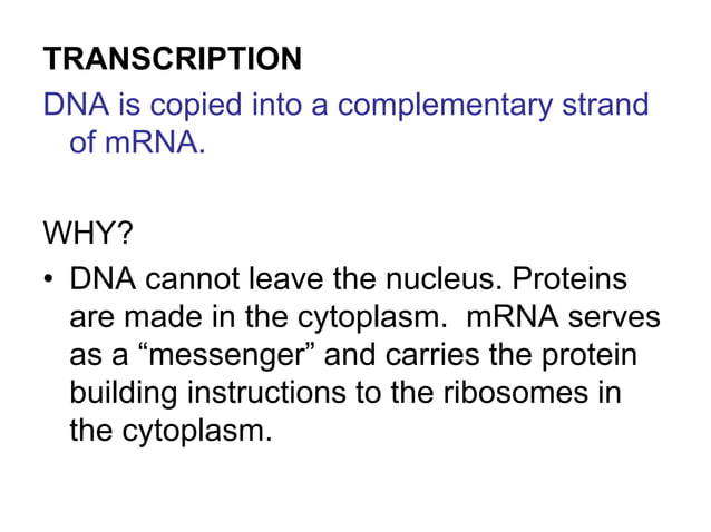 DNA and Protein Synthesis | PPT