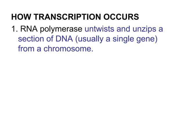 DNA and Protein Synthesis | PPT