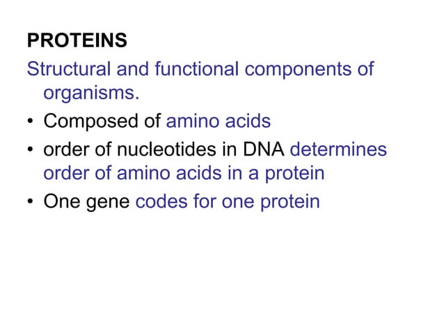 DNA and Protein Synthesis | PPT