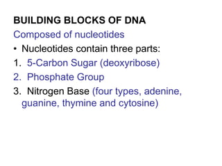 DNA and Protein Synthesis | PPT