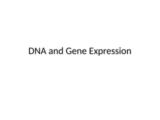 DNA and protein synthesis for high schoolers | PPTX