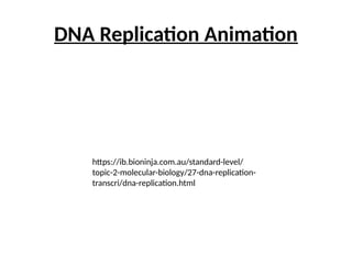DNA and protein synthesis for high schoolers | PPTX