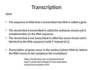DNA and protein synthesis for high schoolers | PPTX