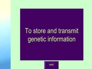 DNA & Protein Synthesis Jeopardy | PPT
