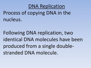 A and P Mod. #1 DNA and DNA replicatoin | PPTX
