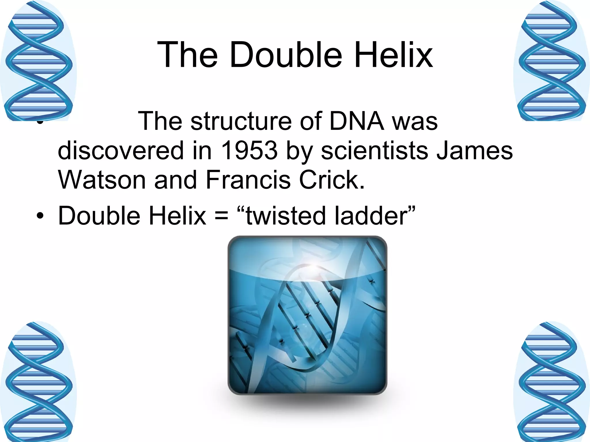 Dna and rna | PPT
