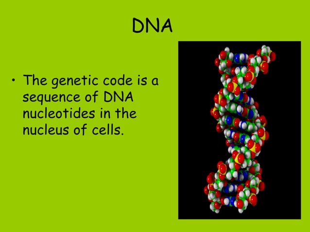 Dna and rna | PPT | Biological Sciences | Science