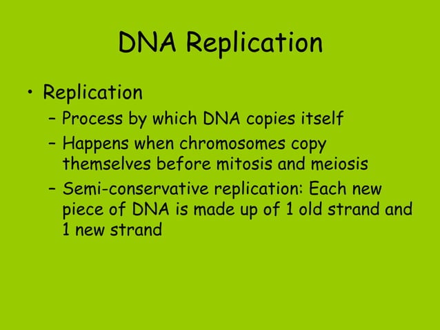 Dna and rna | PPT | Biological Sciences | Science