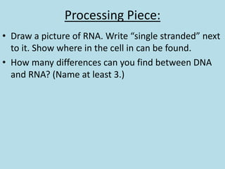 Dna and RNA | PPTX