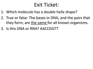 Dna and RNA | PPTX | Chemistry | Science