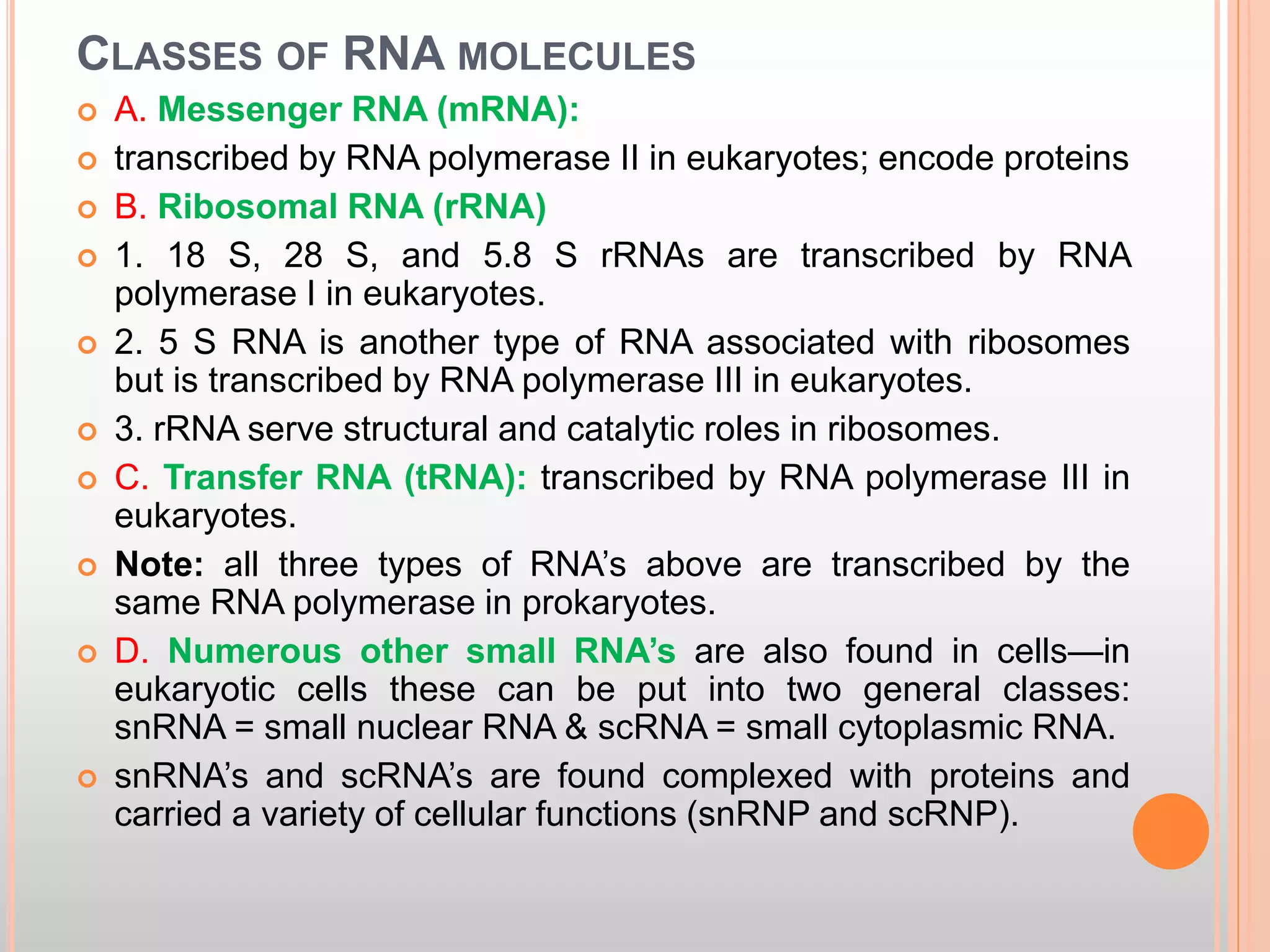 Dna and rna | PPTX