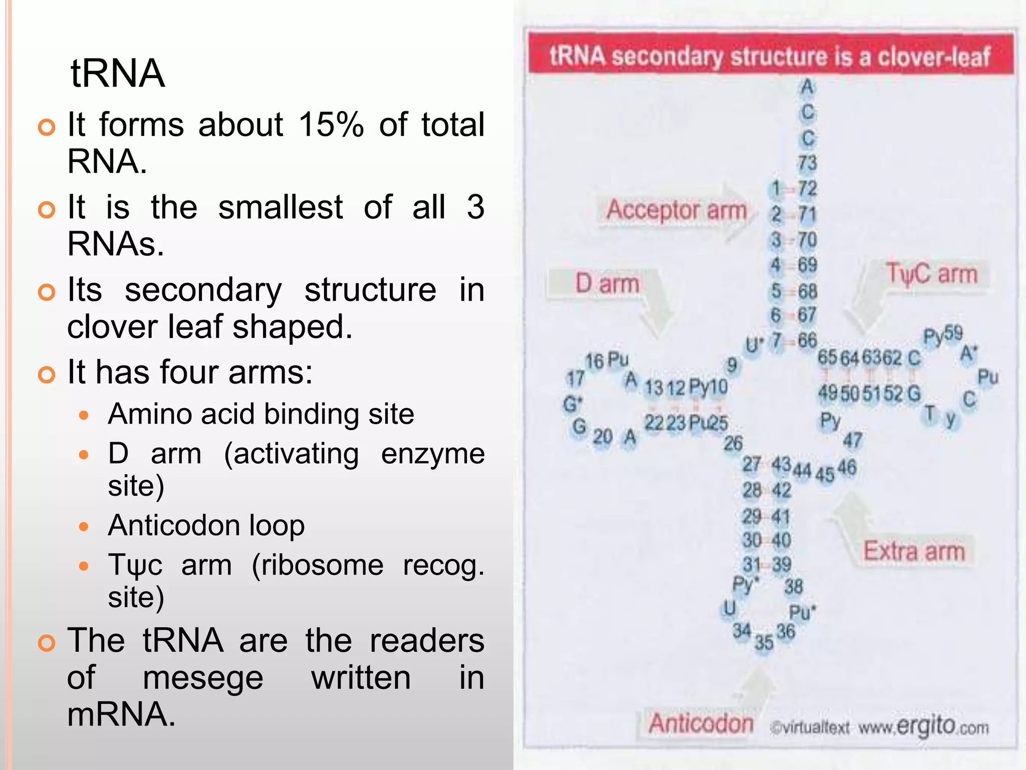 Dna and rna | PPTX