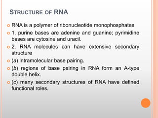 Dna and rna | PPTX