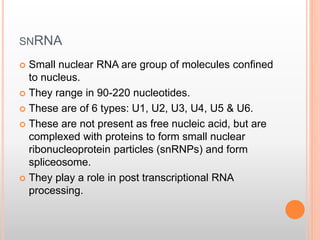 Dna and rna | PPTX
