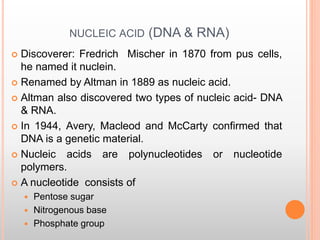 Dna and rna | PPTX
