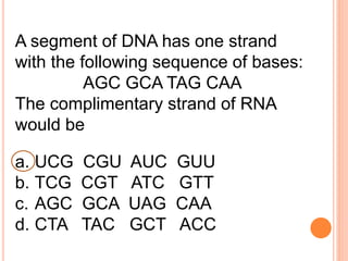 dna and rna.ppt