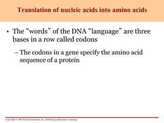 dna and rna.ppt