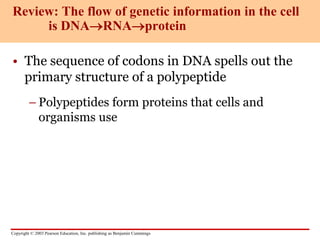 dna and rna.ppt