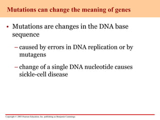 dna and rna.ppt