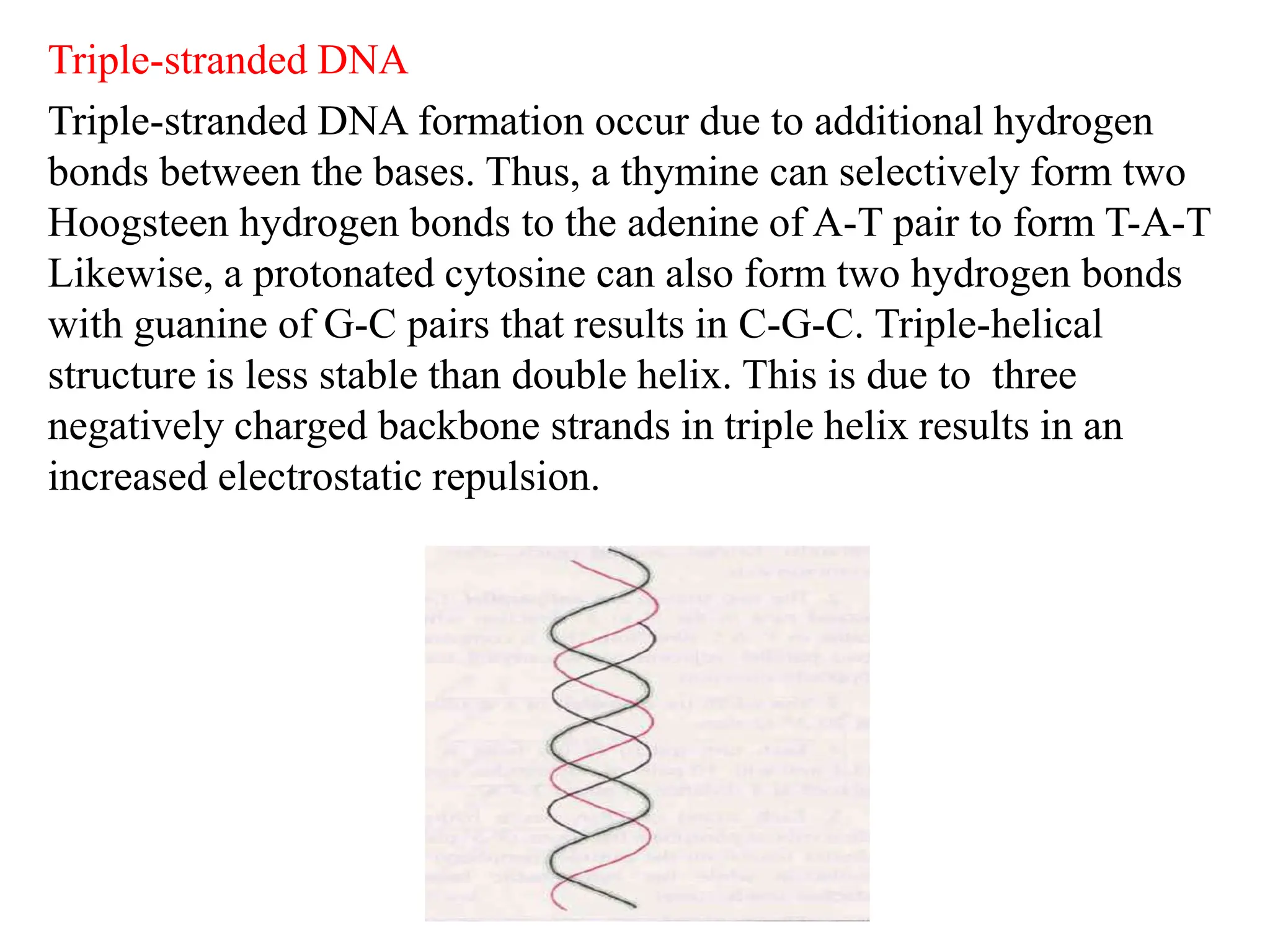 Structure of DNA and RNA, Nucleotides Nucleosides.pptx