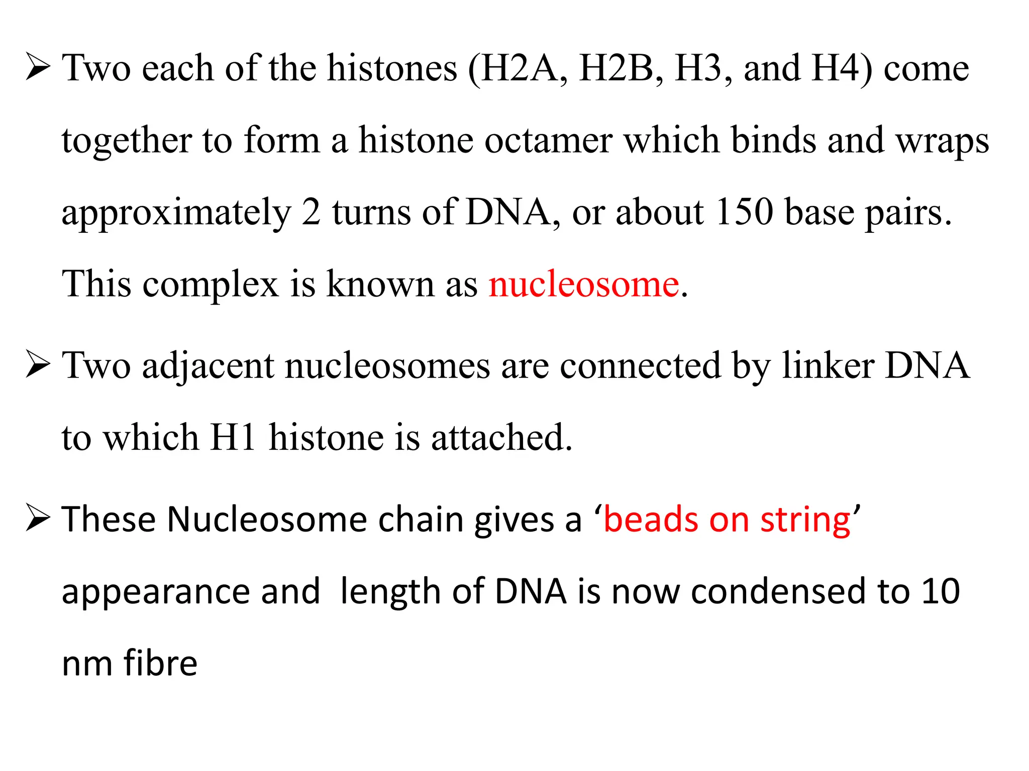 Structure of DNA and RNA, Nucleotides Nucleosides.pptx