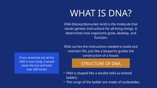 GENETICS AND EVOLUTION : DNA and RNA.pptx