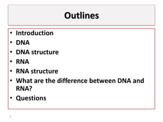 Dna and rna amany e_lshamy | PPTX
