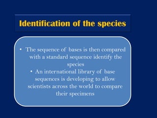 DNA and RAN based taxonomy in animals | PDF