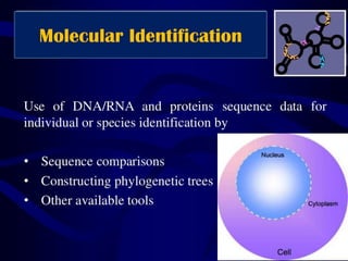 DNA and RAN based taxonomy in animals | PDF