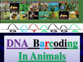 DNA and RAN based taxonomy in animals | PDF