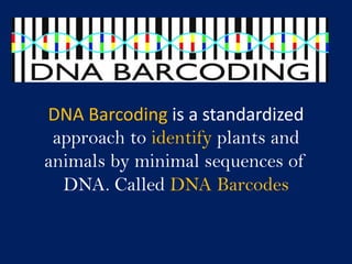 DNA and RAN based taxonomy in animals | PDF