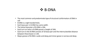 DNA and RNA by faunafondness | PPTX