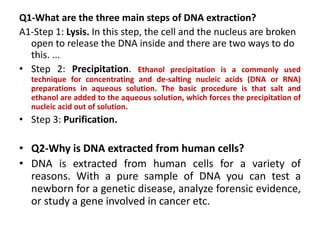 DNA and RNA extraction | PPTX