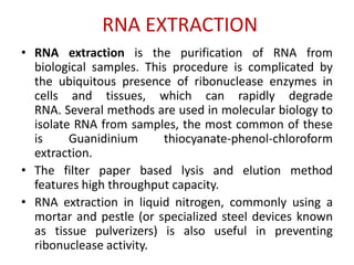 DNA and RNA extraction | PPTX