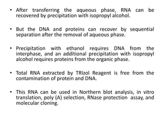 DNA and RNA extraction | PPTX