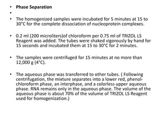 DNA and RNA extraction | PPTX