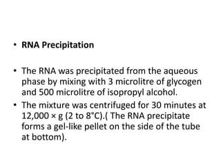 DNA and RNA extraction | PPTX