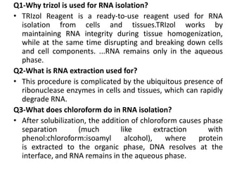 DNA and RNA extraction | PPTX