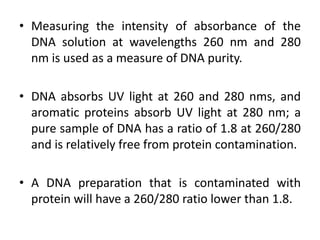 DNA and RNA extraction | PPTX