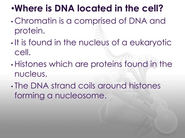 A Brief introduction to DNA and its structure.