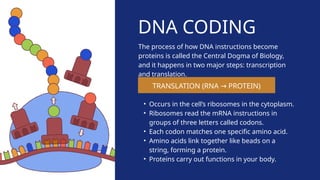 DNA AND RNA TO PROTEIN SYNTHESIS PROCESS | PPTX
