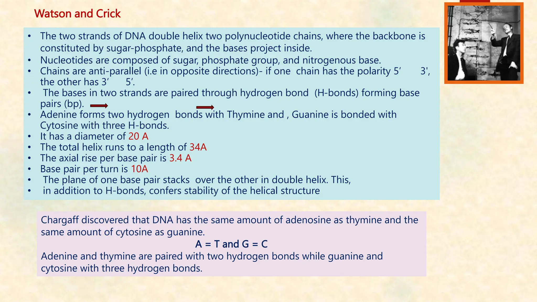 DNA and RNA Class XII Biology Based on NCERT rku.pptx