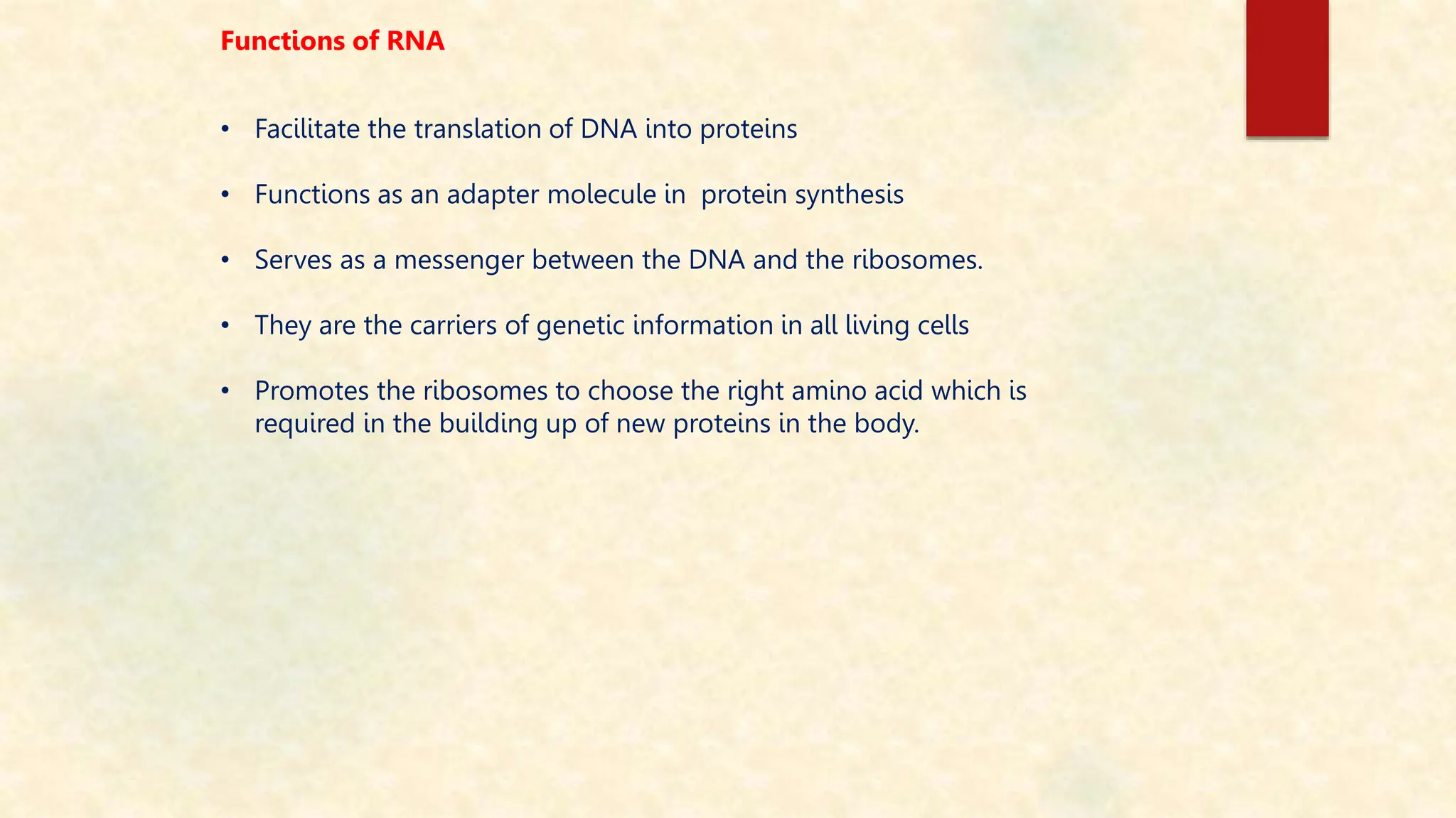 DNA and RNA Class XII Biology Based on NCERT rku.pptx