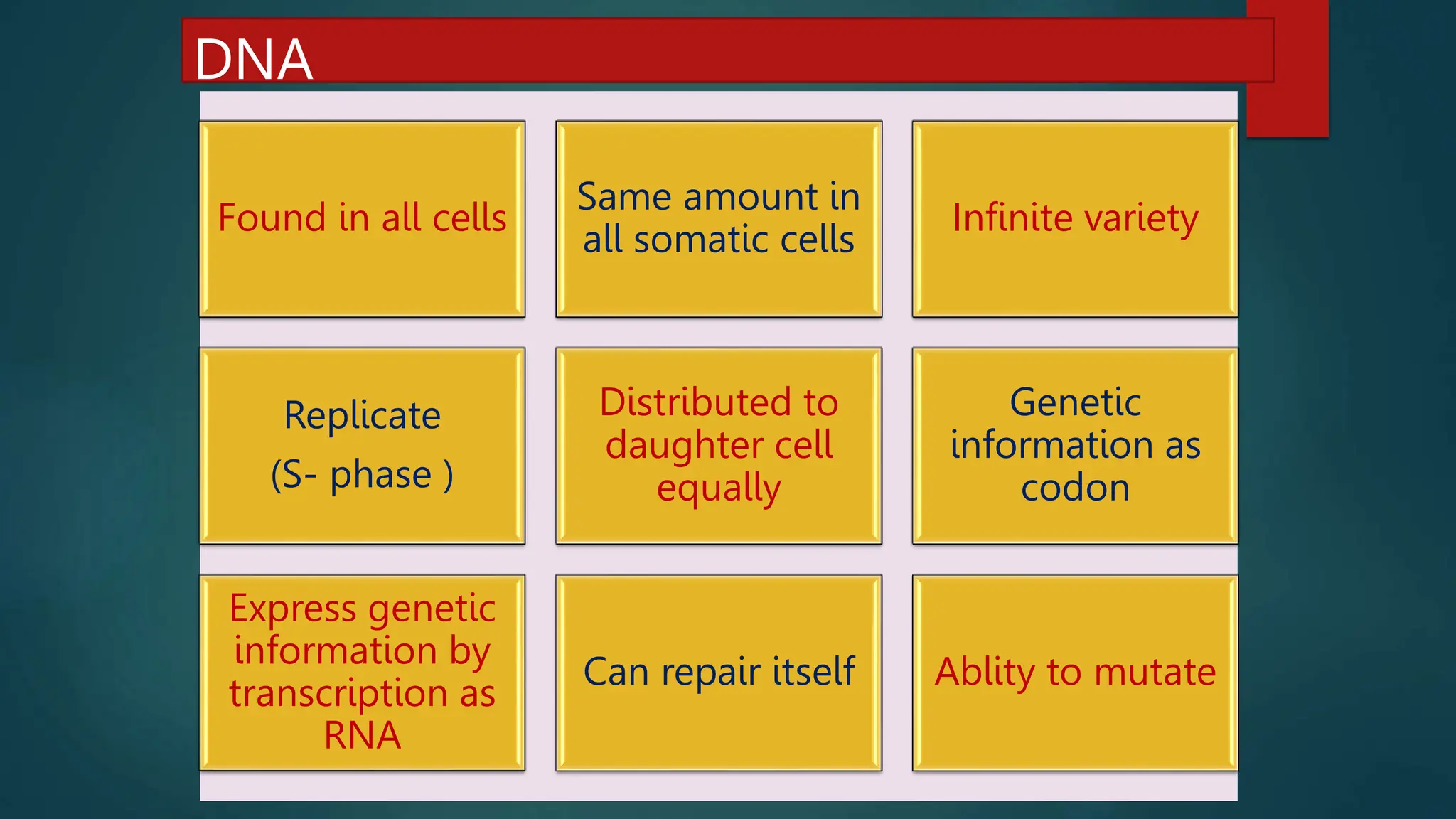 DNA and RNA Class XII Biology Based on NCERT rku.pptx