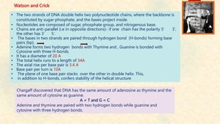 DNA and RNA Class XII Biology Based on NCERT rku.pptx