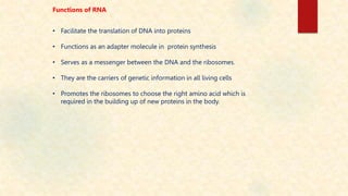 DNA and RNA Class XII Biology Based on NCERT rku.pptx