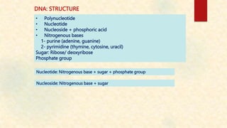 DNA and RNA Class XII Biology Based on NCERT rku.pptx