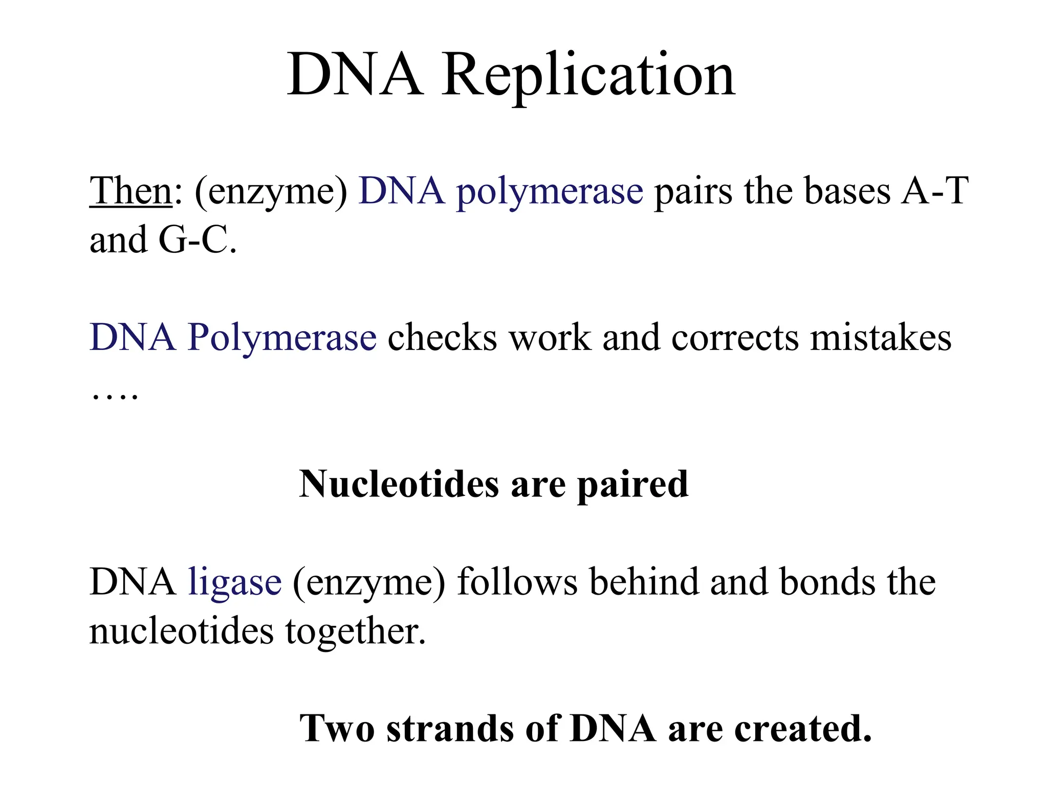 DNA and RNA similarities and differences.ppt